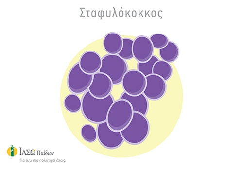ΣΤΑΦΥΛΟΚΟΚΚΟΣ